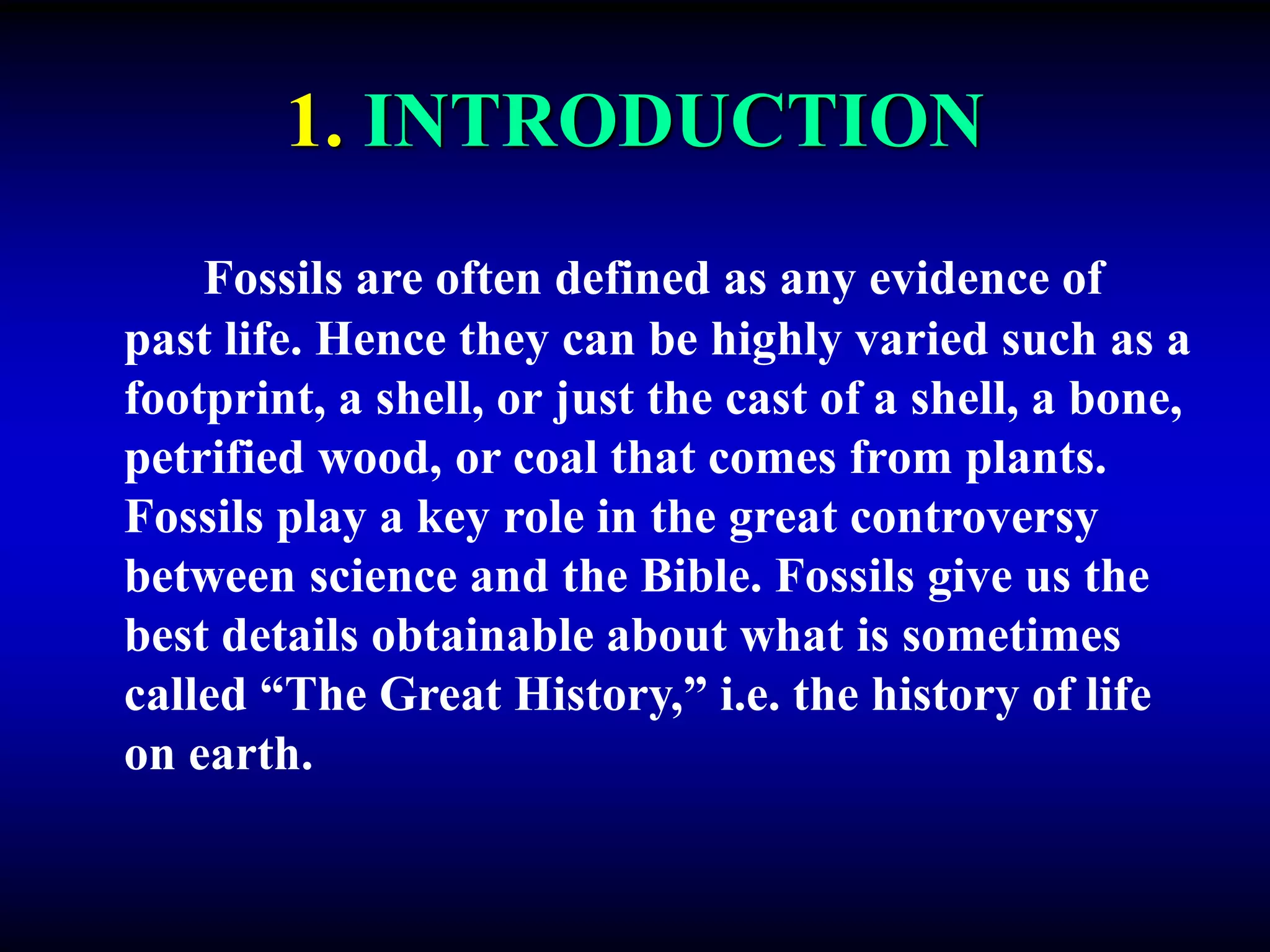 10. fascinating fossils | PPT