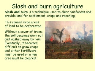 6 trf problems | PPT