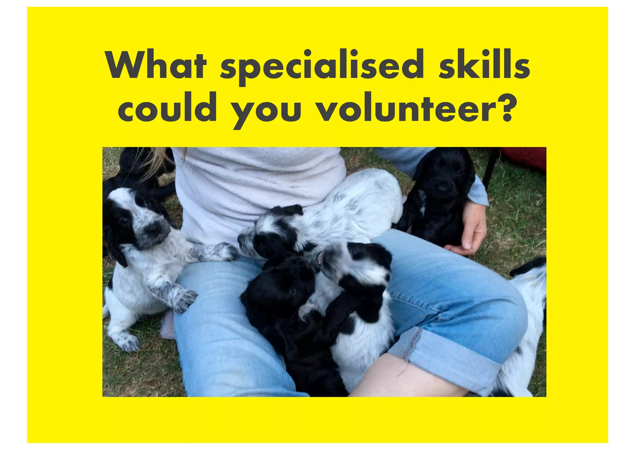 6 types-of-volunteering-anyone-can-do | PDF