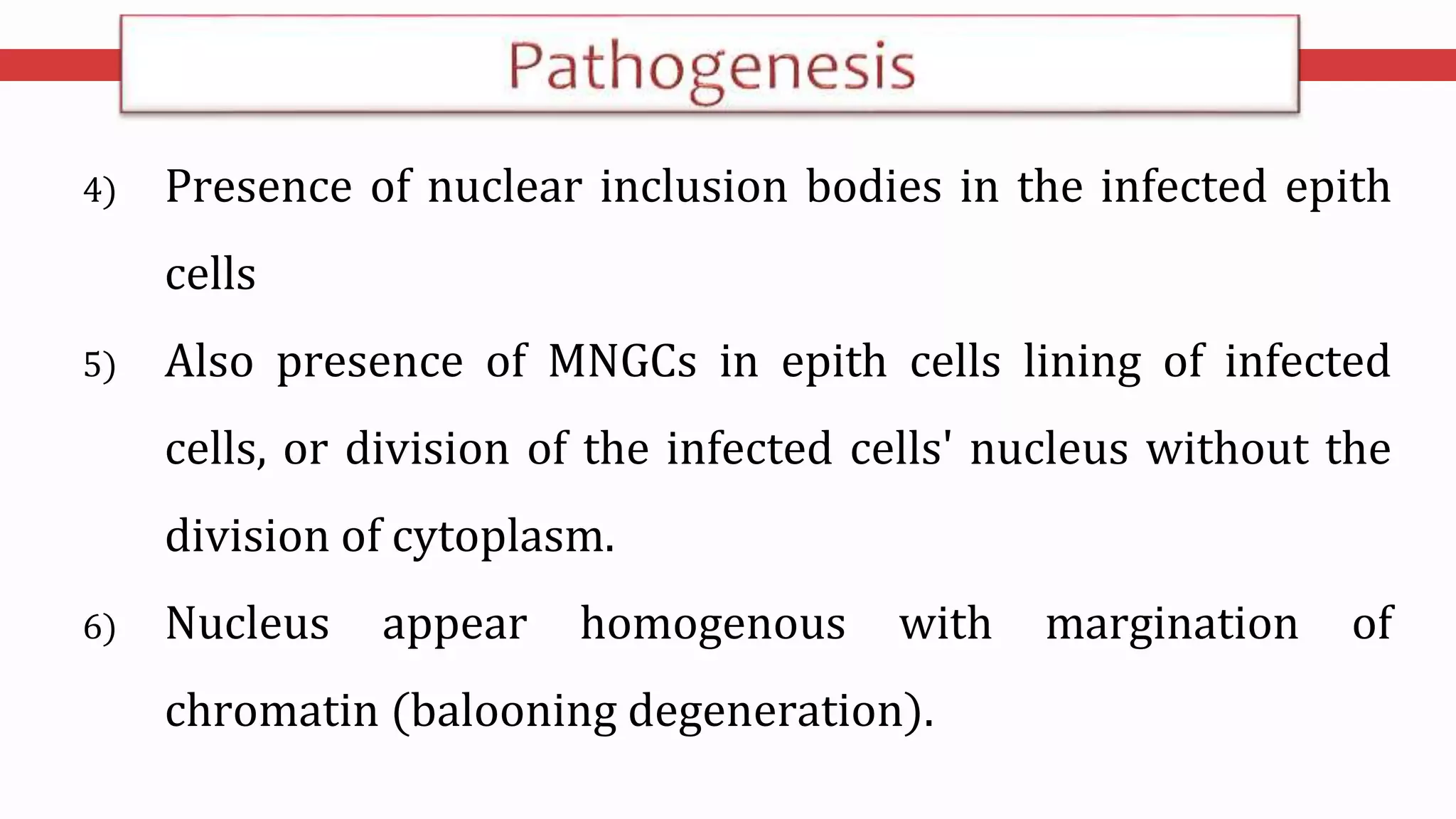 6 vb lesions (1) viral infection & hsv - copy | PPTX