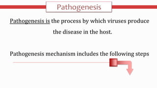 6 vb lesions (1) viral infection & hsv - copy | PPTX