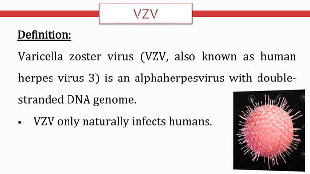 6 vb lesions (2) vzv + ramsy hunty s | PPTX