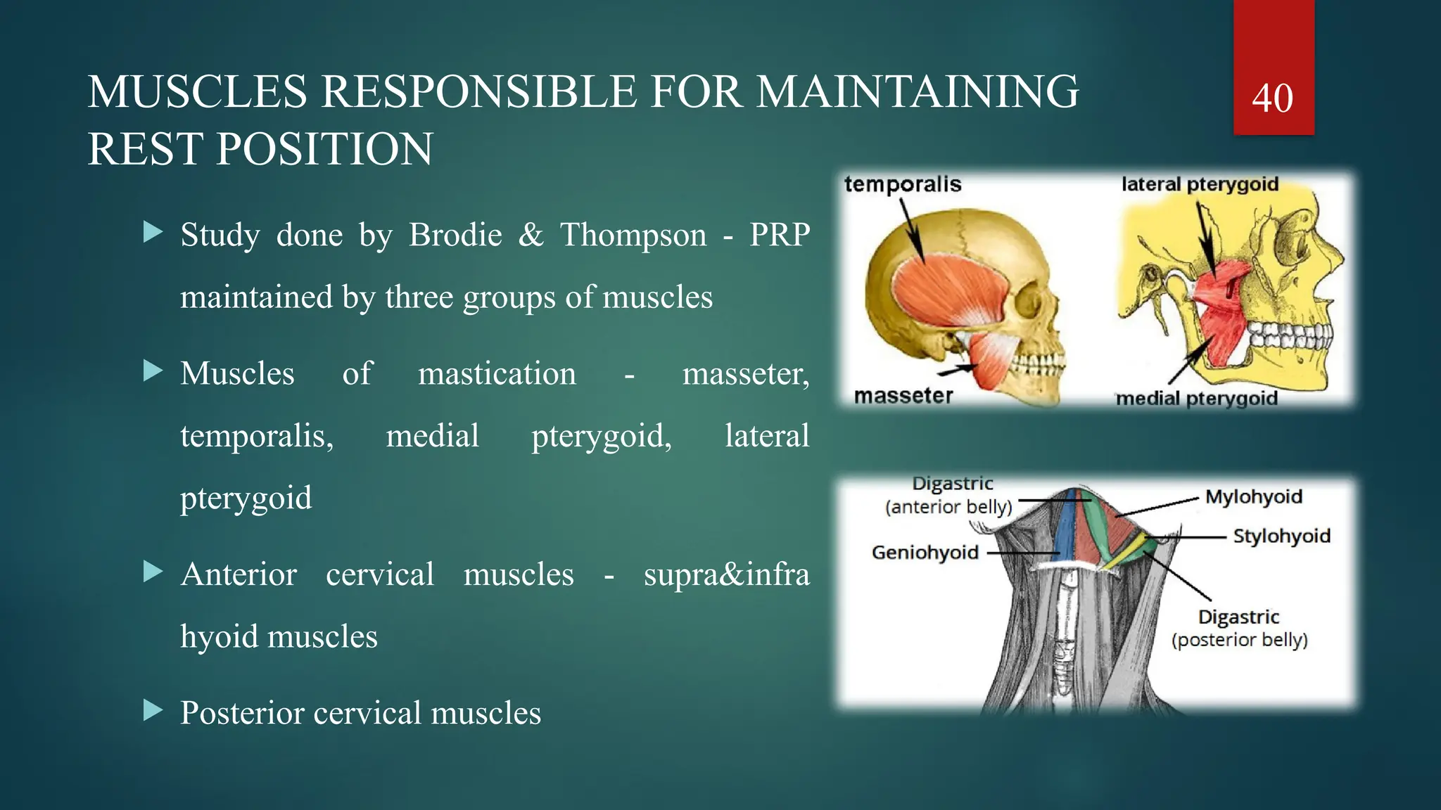 Vertical Jaw Relation | PPTX