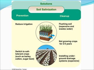 6-waterlogging-170724070447.pdf