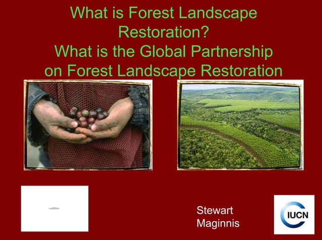 What is Forest Landscape Restoration? What is the Global Partnership on ...