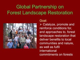 What is Forest Landscape Restoration? What is the Global Partnership on ...