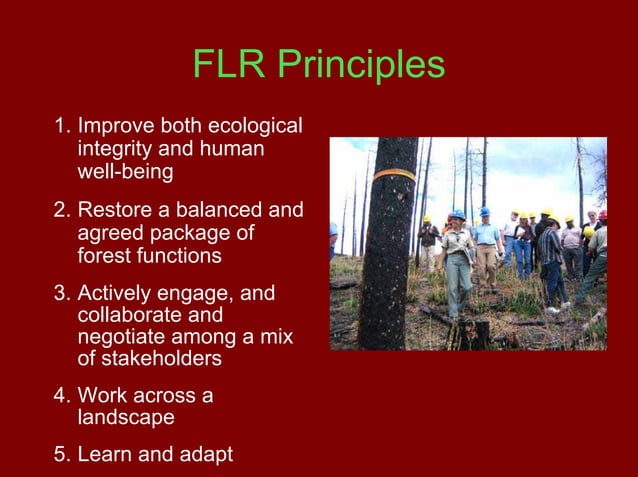 What is Forest Landscape Restoration? What is the Global Partnership on ...