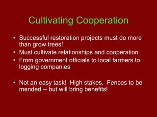 What is Forest Landscape Restoration? What is the Global Partnership on ...