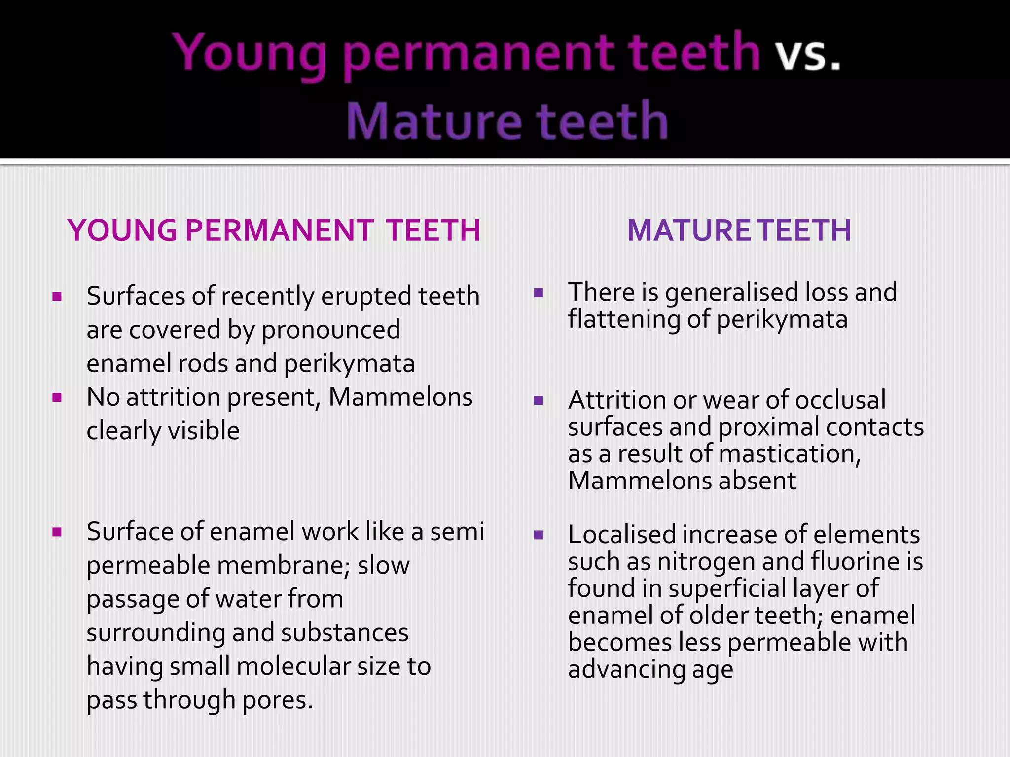 young permanent tooth | PPTX