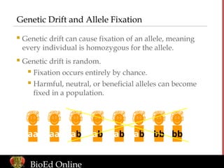 Evolution in humans and animals by visual.ppt