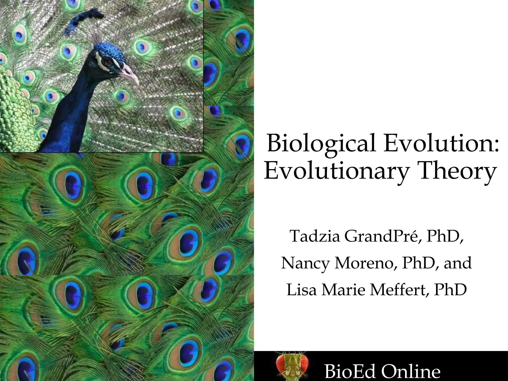 Biological Evolution: Evolutionary Theory | PPT