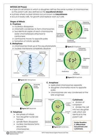 600314299-Cell-Cycle-1.pdf