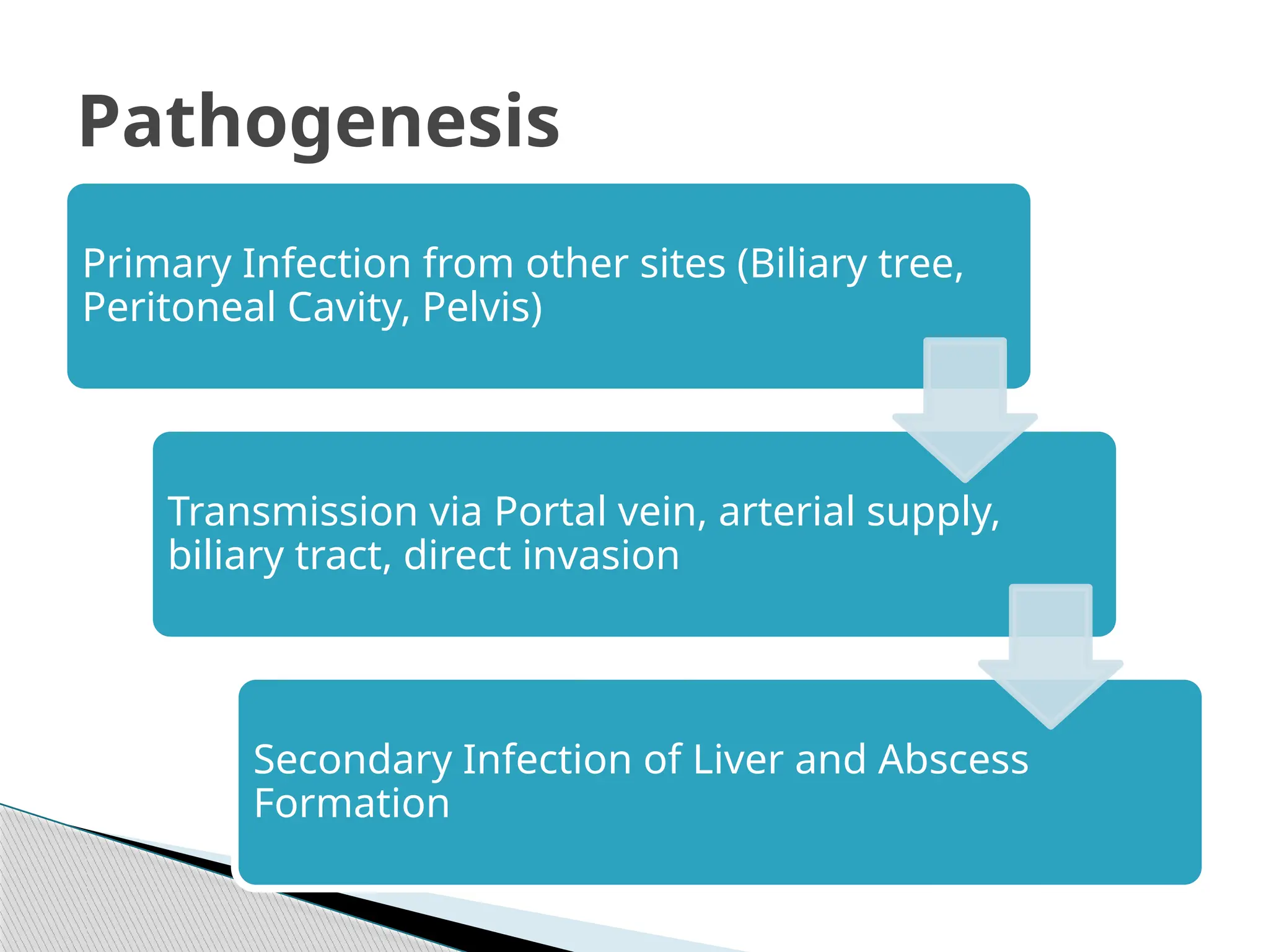 A liver abscess presentation for mbbs.ppt
