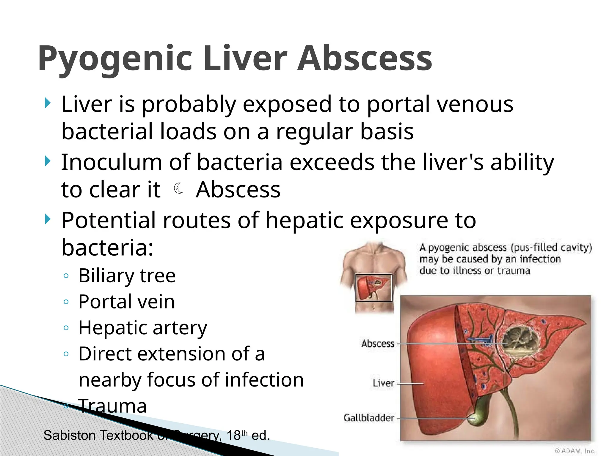 A liver abscess presentation for mbbs.ppt
