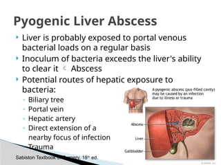 A liver abscess presentation for mbbs.ppt