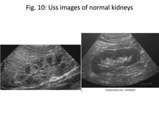 600L MBBS Radiology TUTORIAL 2022.pptx