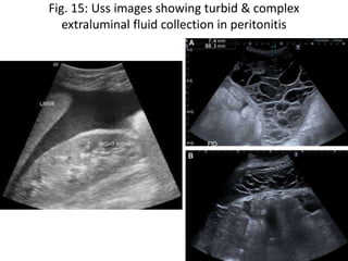 600L MBBS Radiology TUTORIAL 2022.pptx