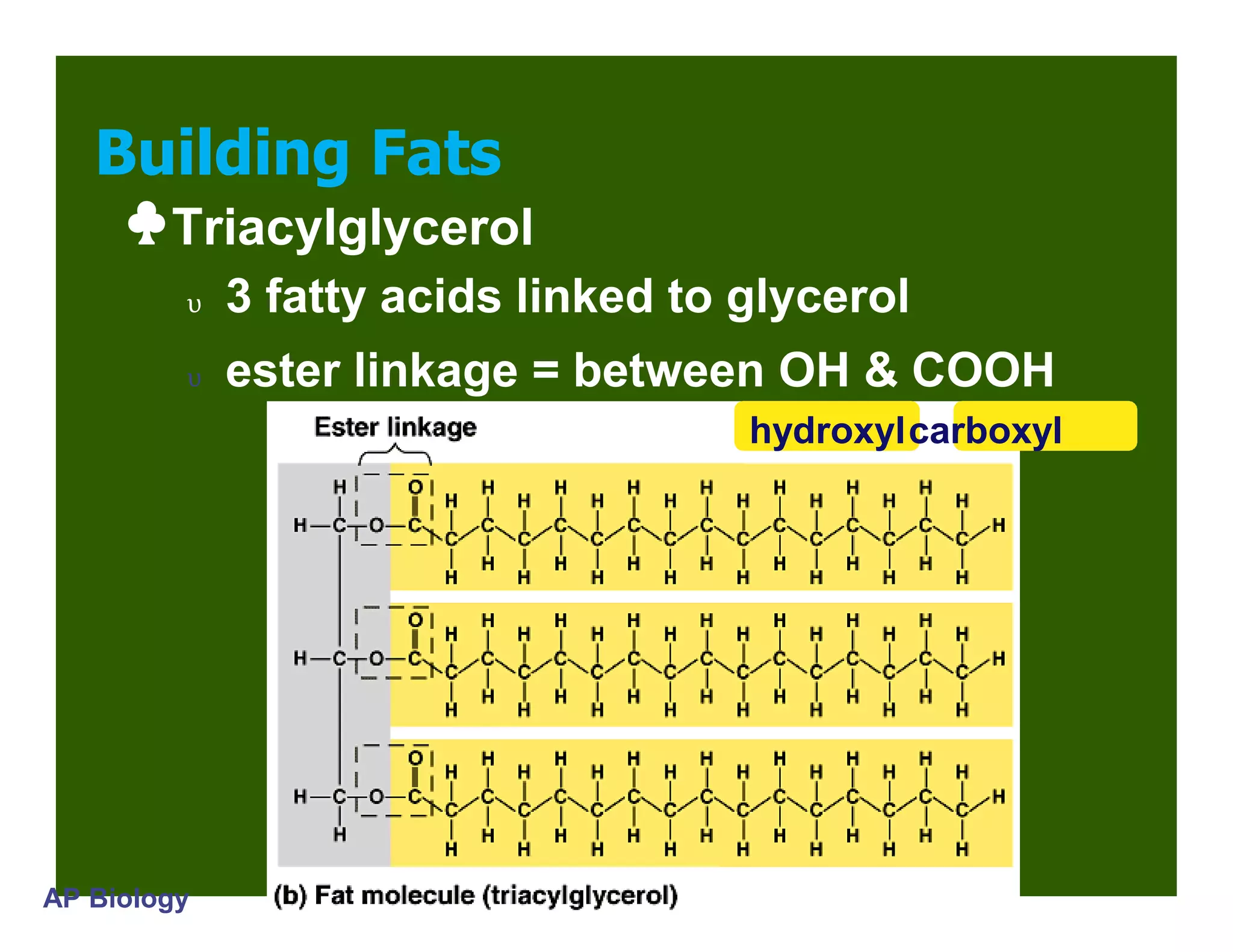 Lipids.pptx | Chemistry | Science