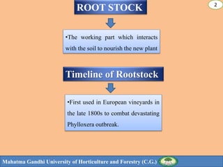 RECENT ADVANCES IN PROPAGATION, ROOTSTOCK INFLUENCE IN FRUIT CROPS | PPTX
