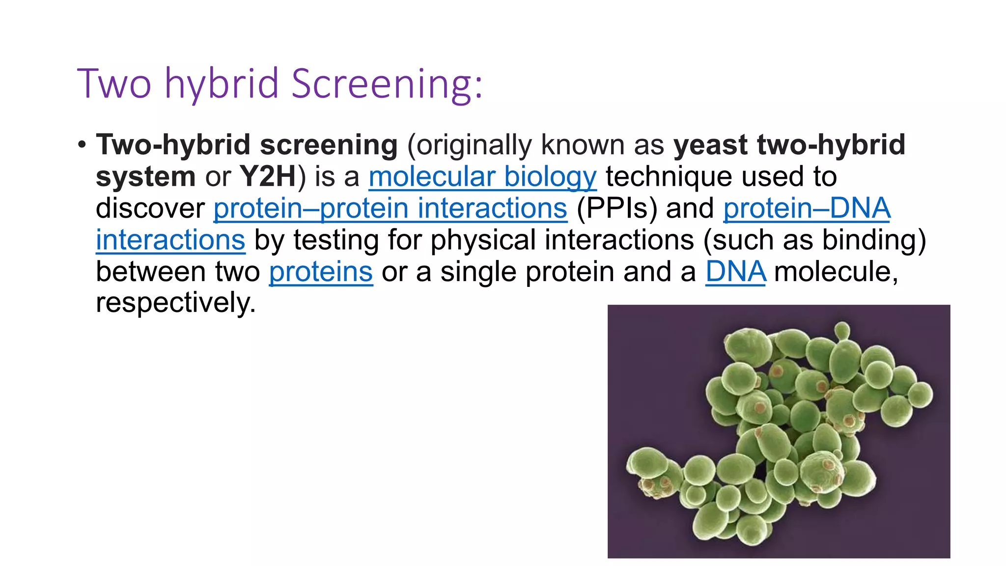 yeast two hybrid system | PPTX