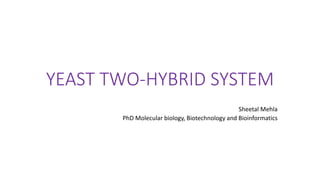 yeast two hybrid system | PPTX
