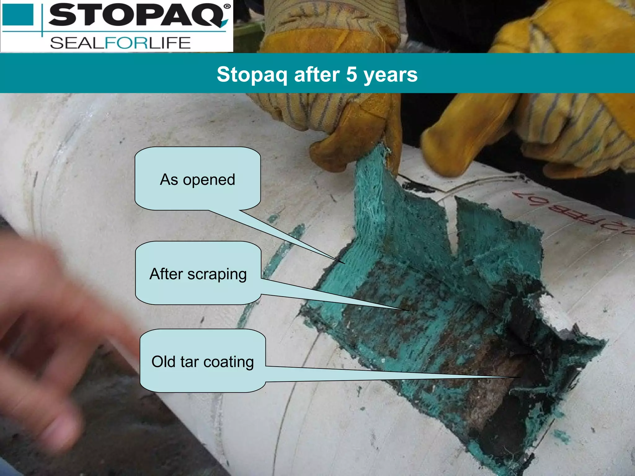 A_Case History of a visco-elastic anti-corrosion system LNG plant ...