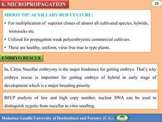 ADVANCES IN CITRUS BREEDING, Breeding methods | PPTX