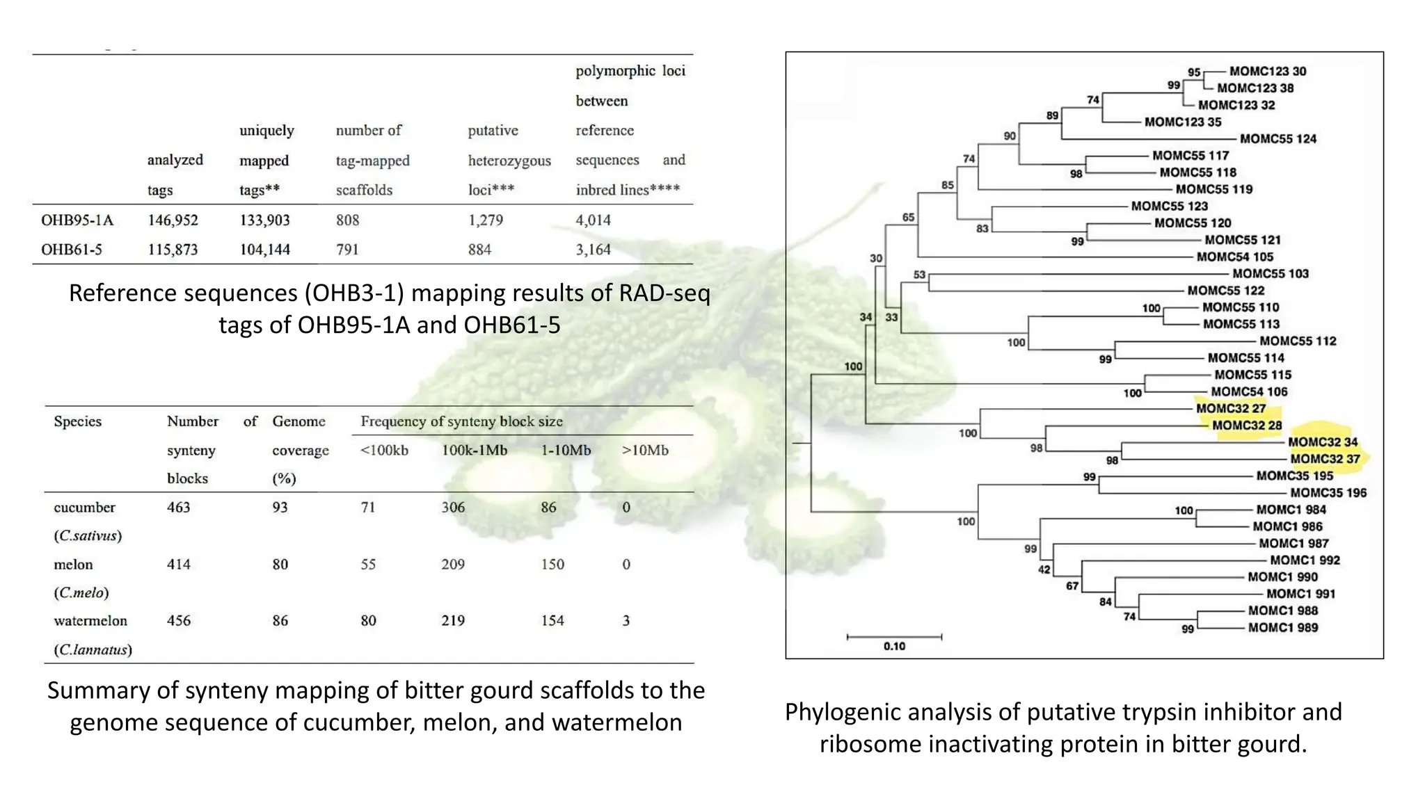 Advances In Vegetable Breeding Methods Pptx