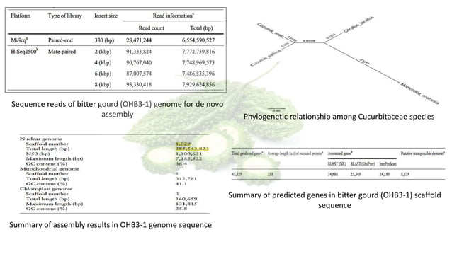 Advances In Vegetable Breeding Methods Pptx