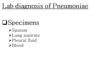 lab diagnosis of pneumoniae final slide | PDF