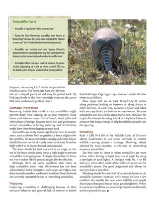 Armadillo in Missouri | PDF | Reptiles | Pets