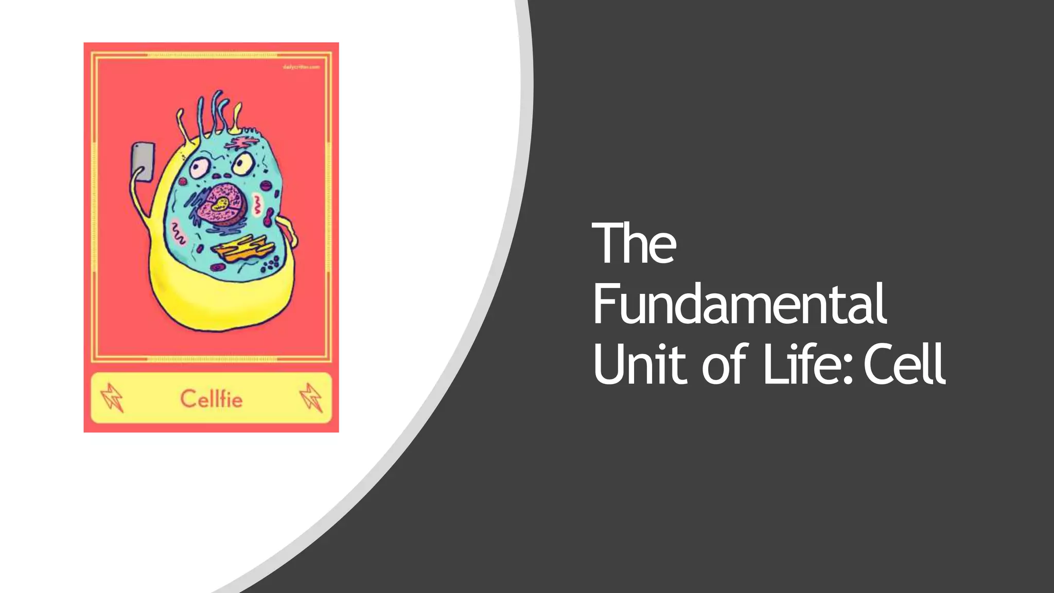the fundamental unit of life cell | PPT