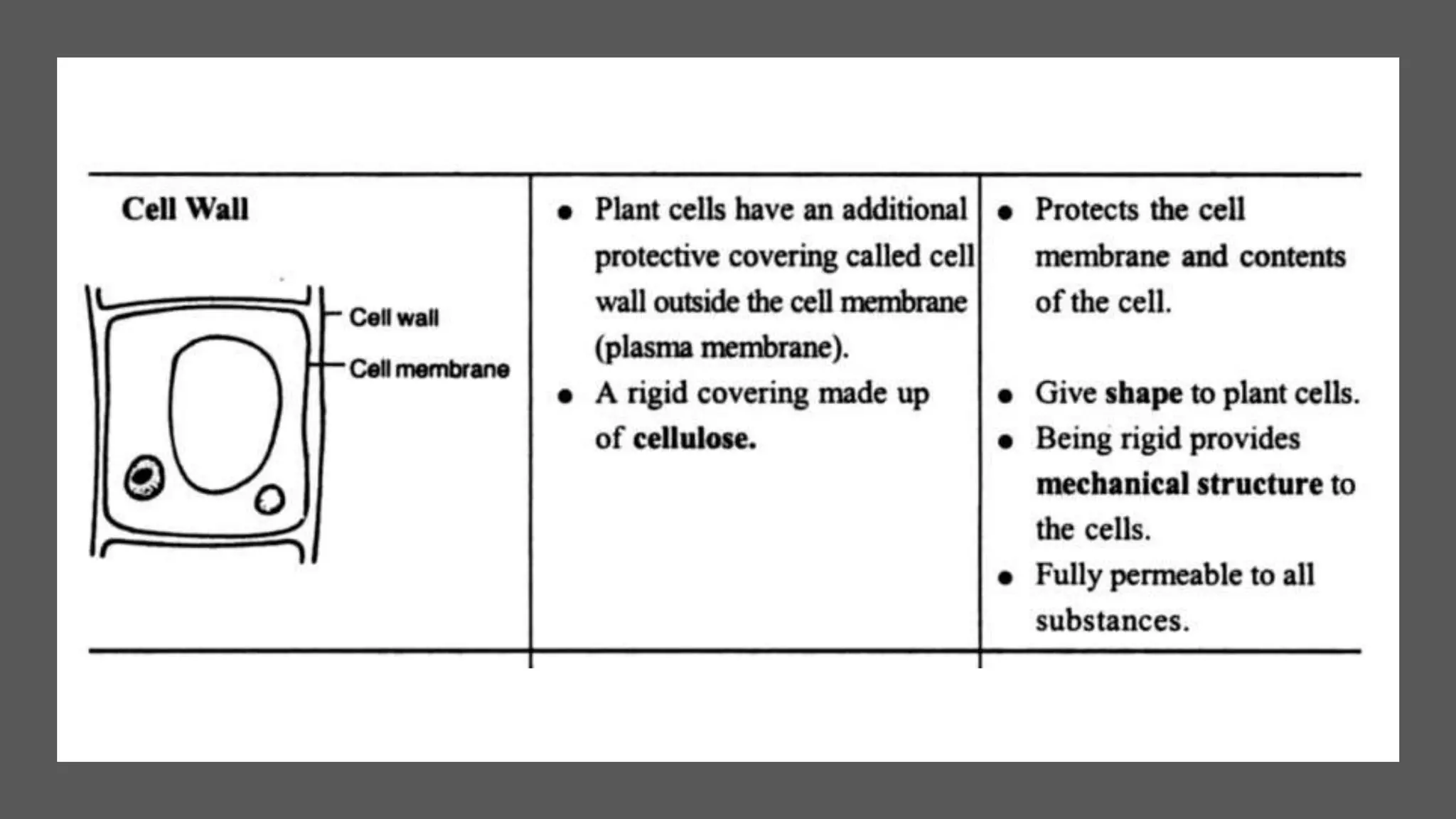 the fundamental unit of life cell | PPT