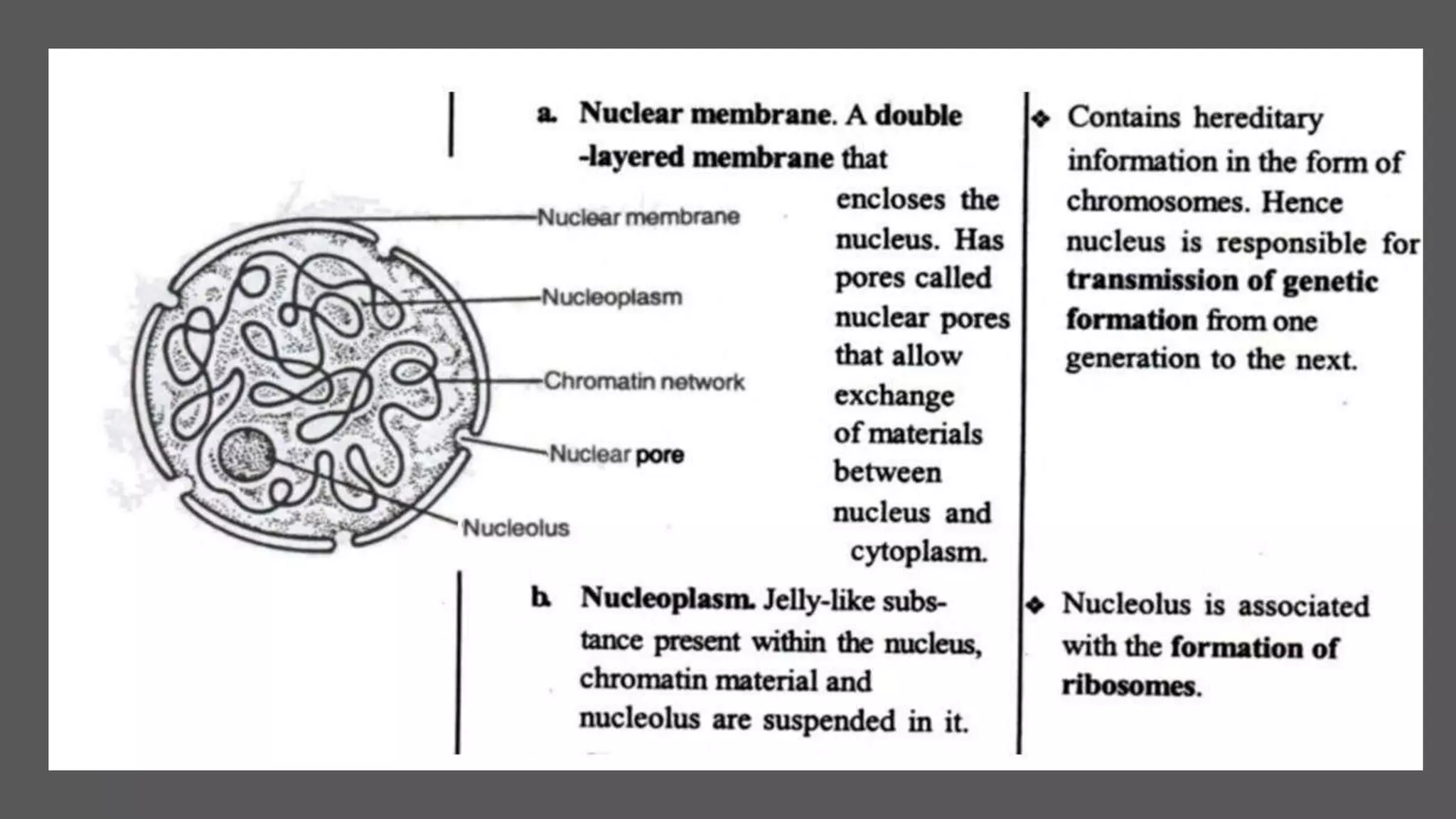 the fundamental unit of life cell | PPT