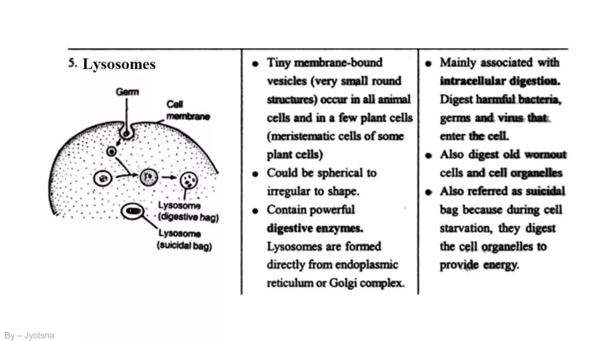 the fundamental unit of life cell | PPT