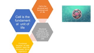 the fundamental unit of life cell | PPTX
