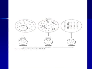 604.2021SAMPLING.4.ppt