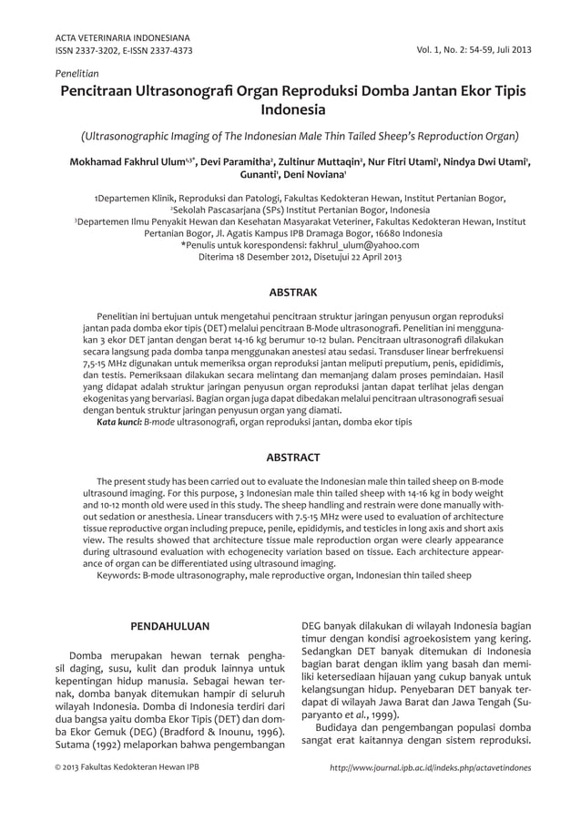 6042 1963Pencitraan Ultrasonografi Organ Reproduksi Domba Jantan Ekor Tipis Indonesia4-1-pb | PDF