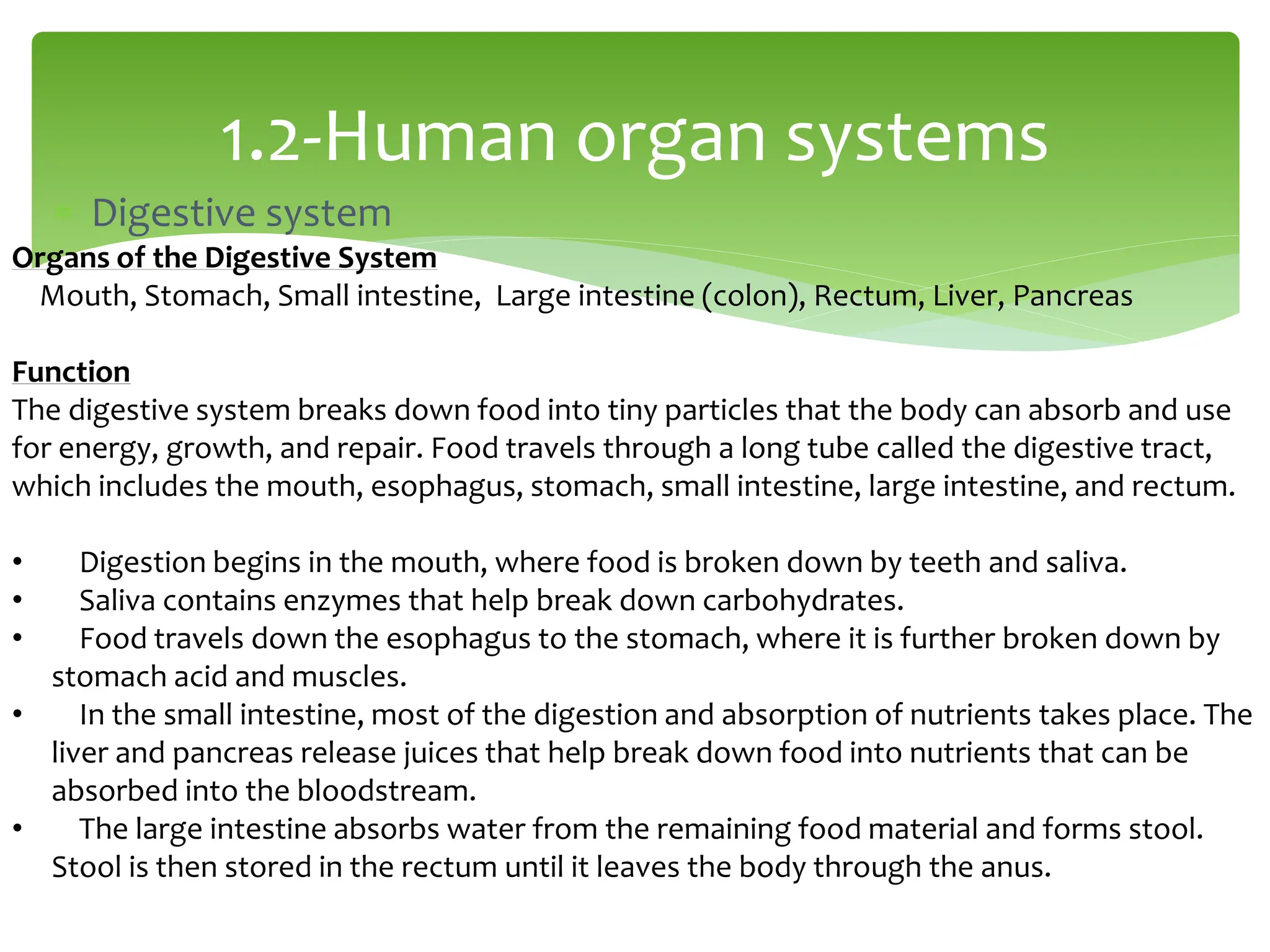 604666914-Science-year-7-Cambridge-presentation-powerpoint-Unit-1-part ...