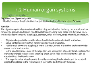 604666914-Science-year-7-Cambridge-presentation-powerpoint-Unit-1-part ...