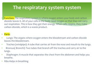 604666914-Science-year-7-Cambridge-presentation-powerpoint-Unit-1-part ...