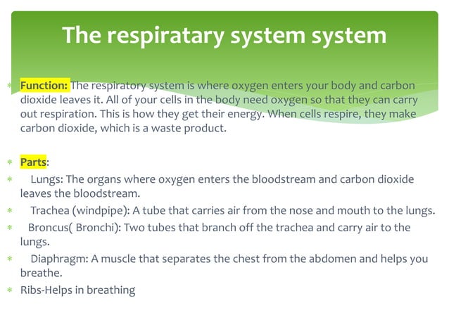 604666914-Science-year-7-Cambridge-presentation-powerpoint-Unit-1-part ...