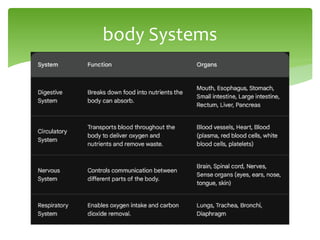 604666914-Science-year-7-Cambridge-presentation-powerpoint-Unit-1-part ...