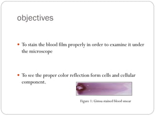 60502_Staining of peripheral blood film.pdf