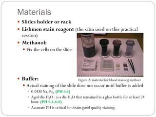 60502_Staining of peripheral blood film.pdf