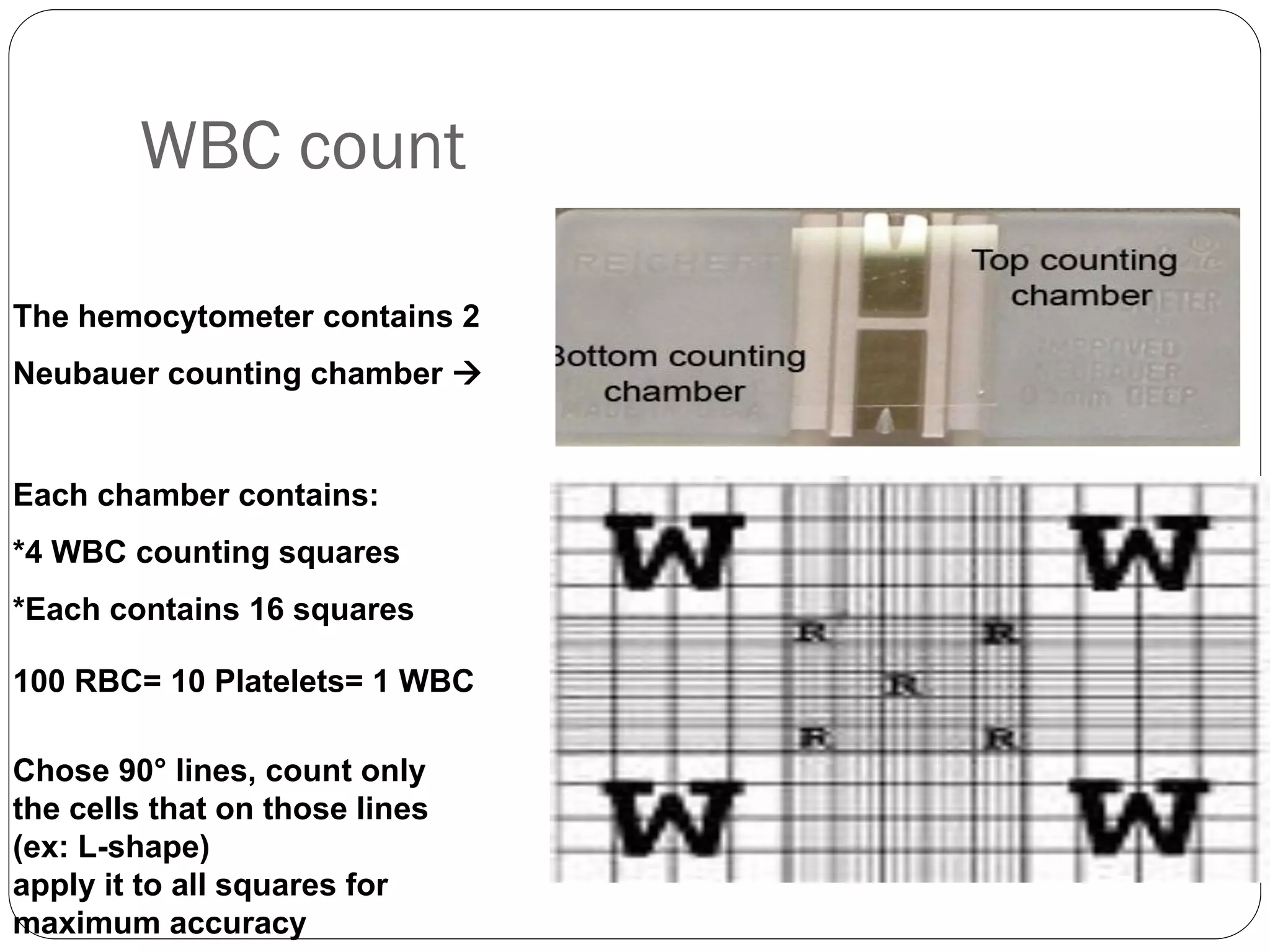 60503_WBC manual count using hemocytometer.pdf