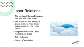 Laws of Employment | PPTX