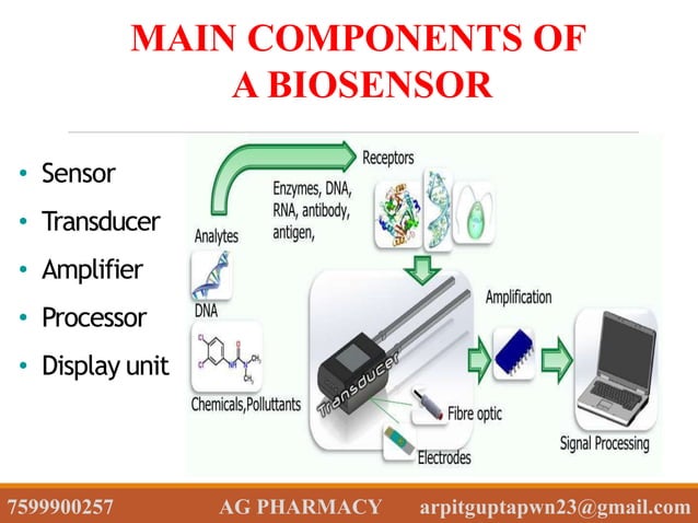 II BIOSENSOR PRINCIPLE APPLICATIONS AND WORKING II | PPT