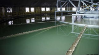Flint Water Crisis | PPTX