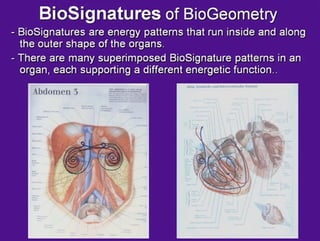 Intro-to-Biogeometry-Presentation-Slides | PPT